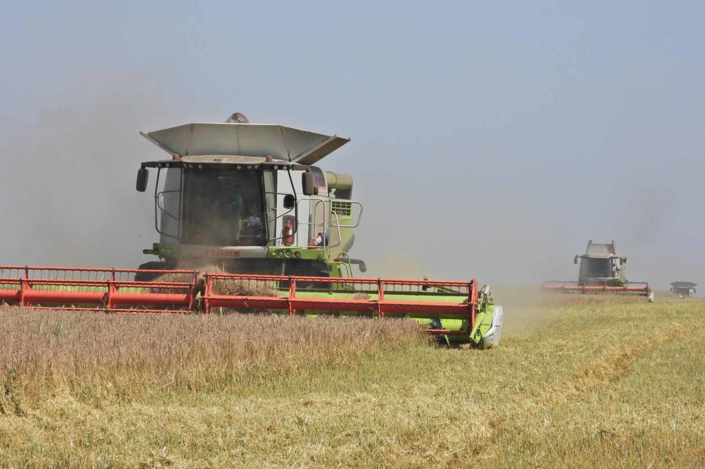 Vară românească la Segarcea - Cerealcom Segarcea a dat startul