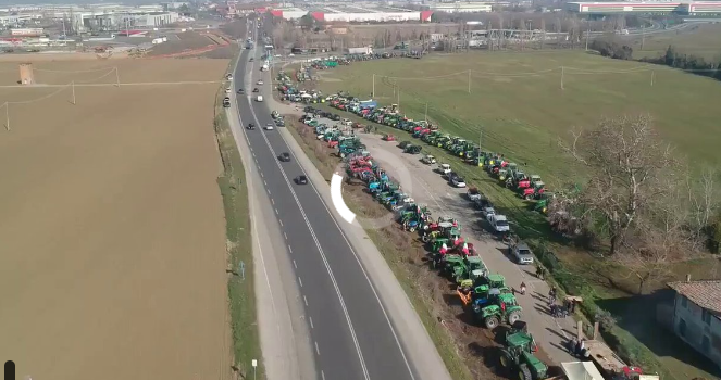 Mesaj al fermierilor italieni. ,,Făina din greieri să o mâncaţi voi”